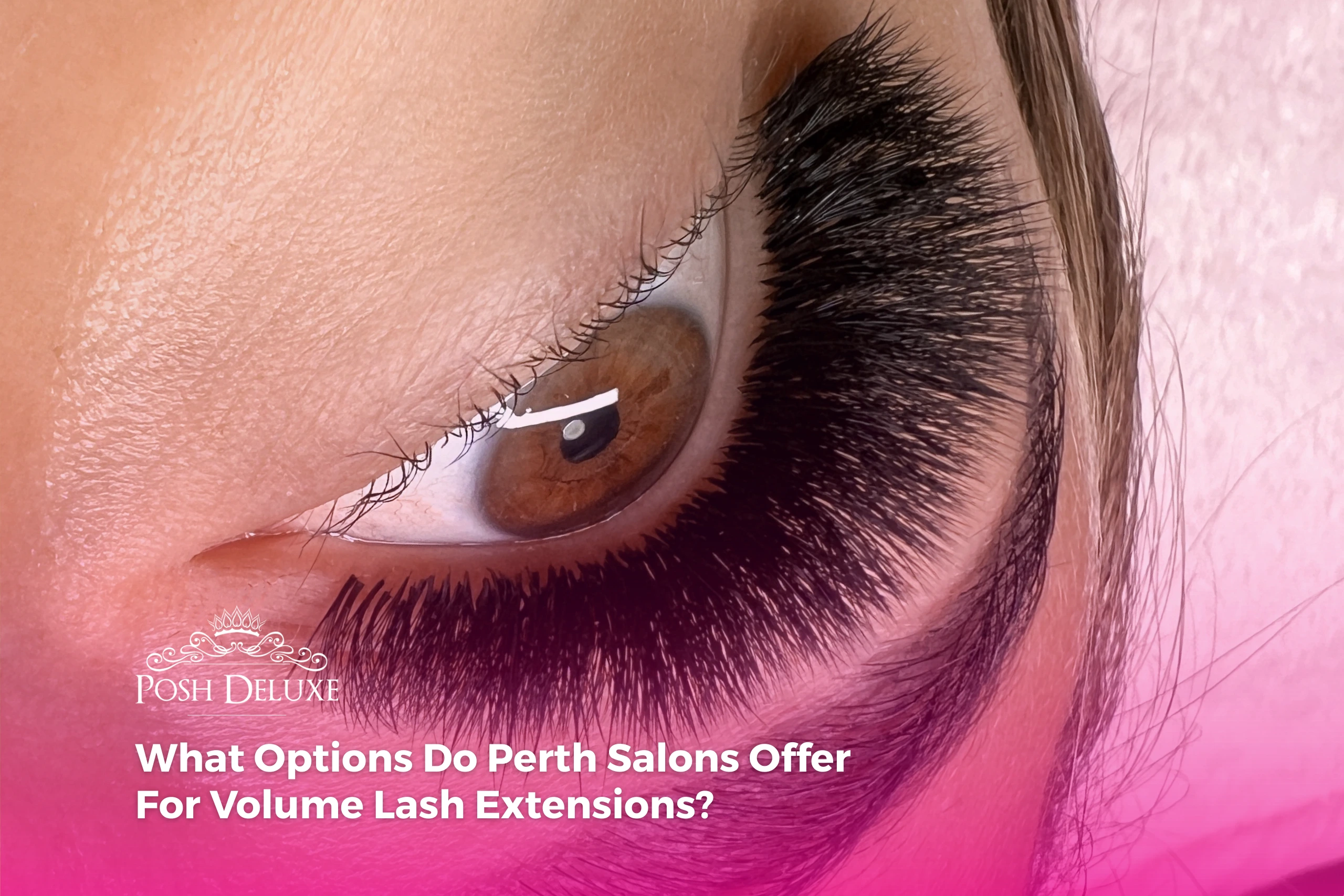 What Options Do Perth Salons Offer For Volume Lash Extensions? - Posh ...